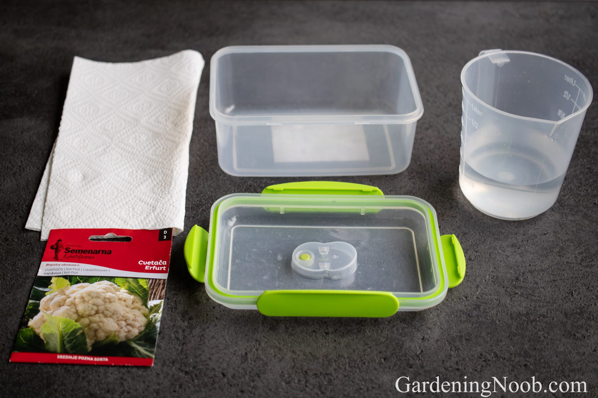 How To Germinate Vegetable Seeds In Wet Paper Towel