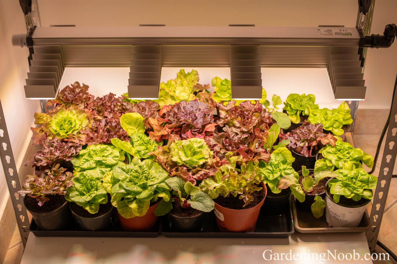 My Indoor Vegetable Seed Starting Setup