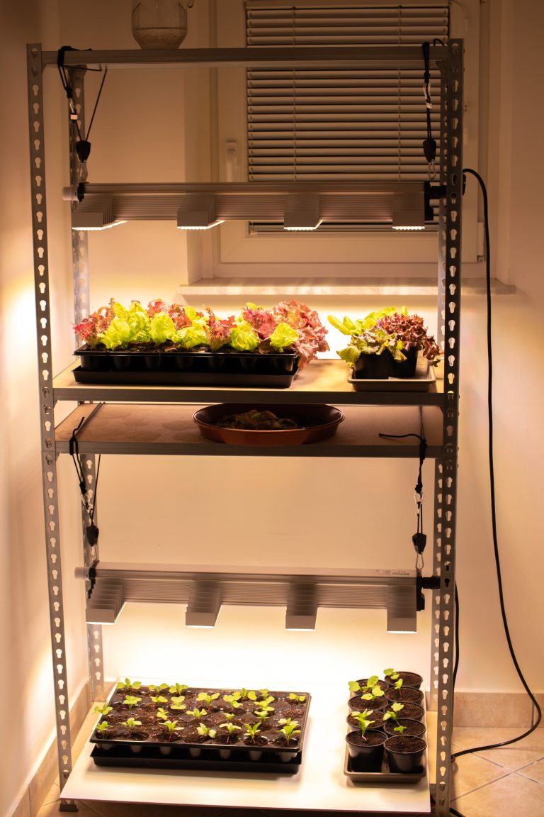 My Indoor Vegetable Seed Starting Setup