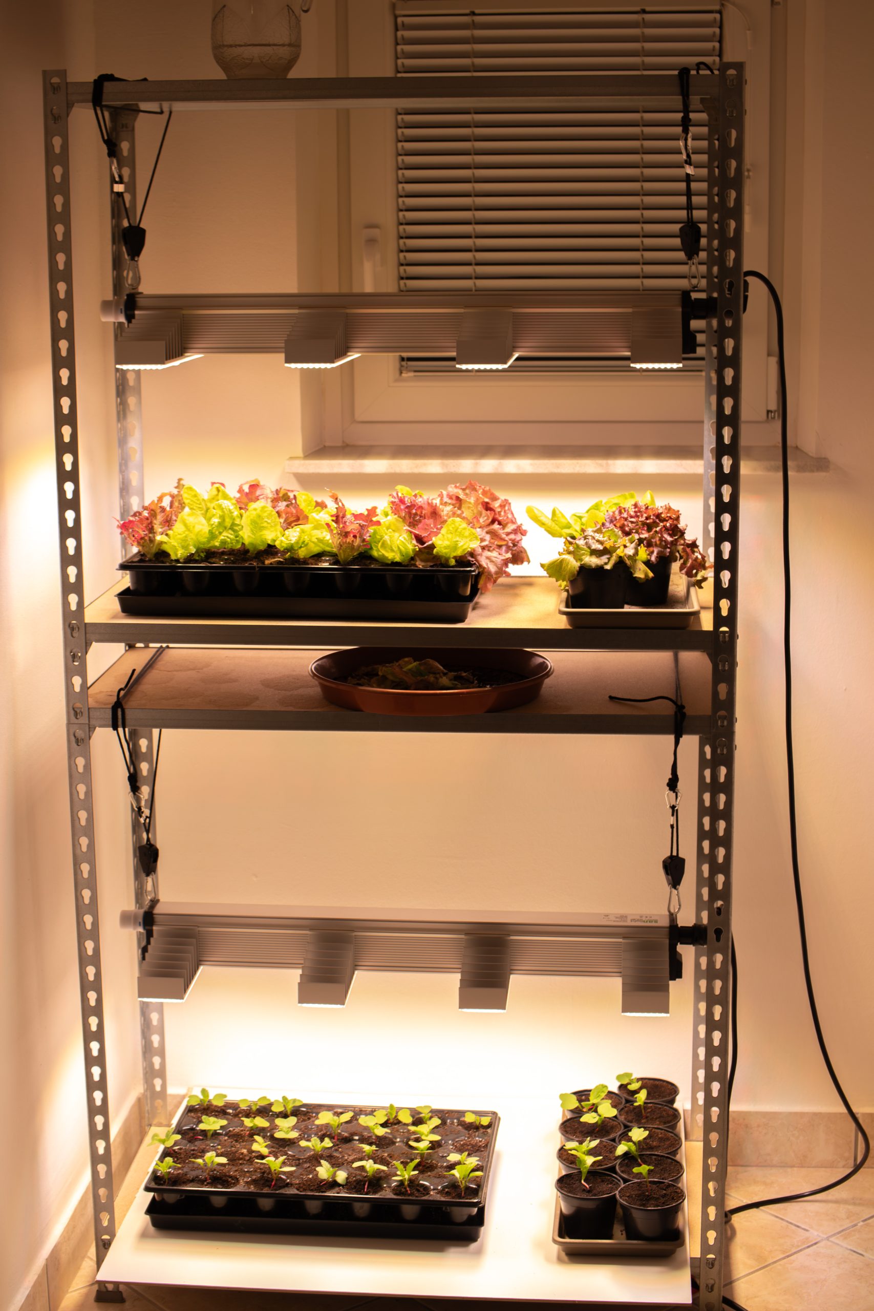 My Indoor Vegetable Seed Starting Setup