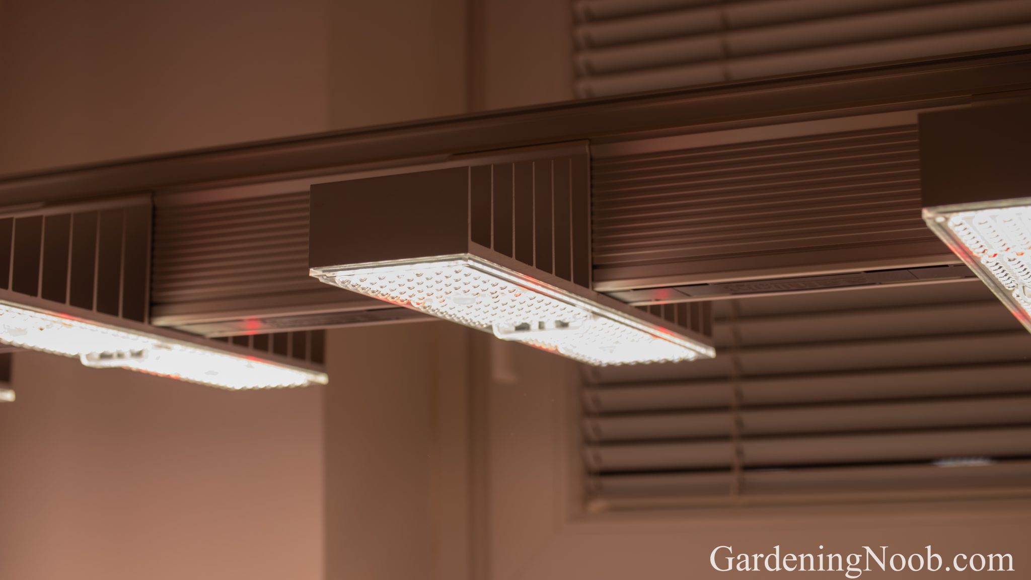 SANlight EVO Grow Lights Review