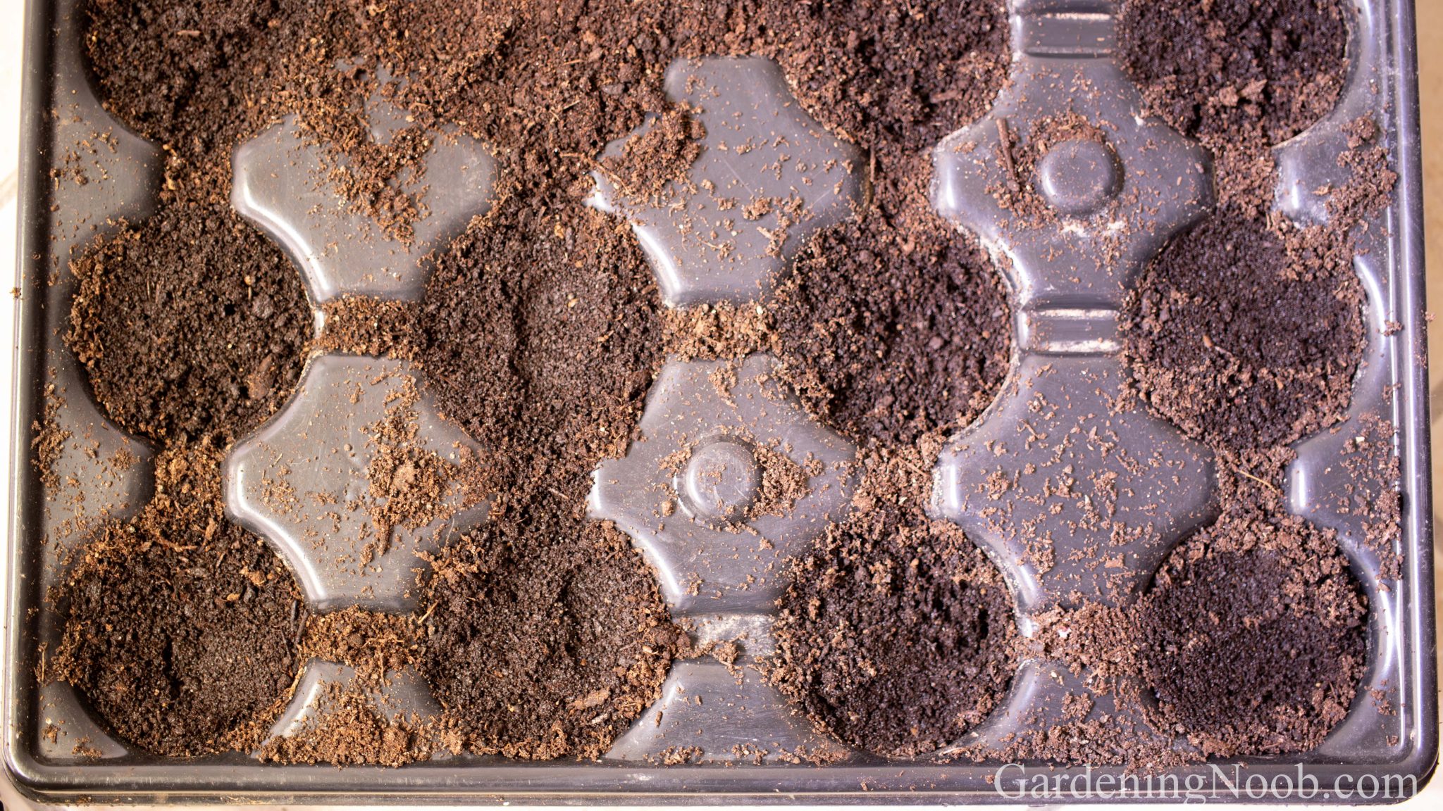 Can you grow radish from seeds indoors?